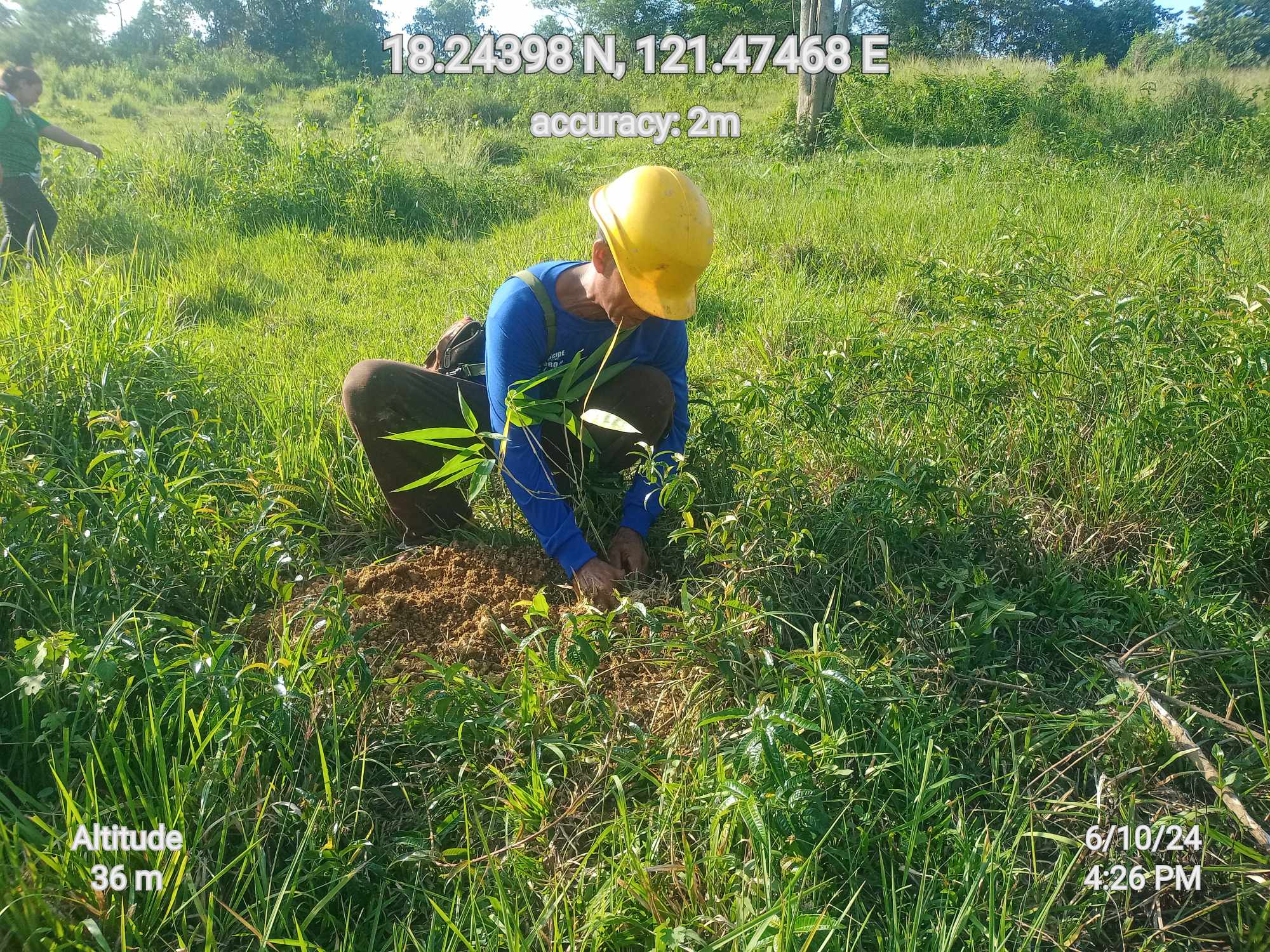 ASC Launches Bamboo Project to Combat Climate Change and Promote ...